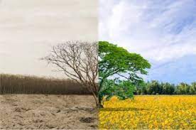 Lexia: Desafíos a la protección del medio ambiente